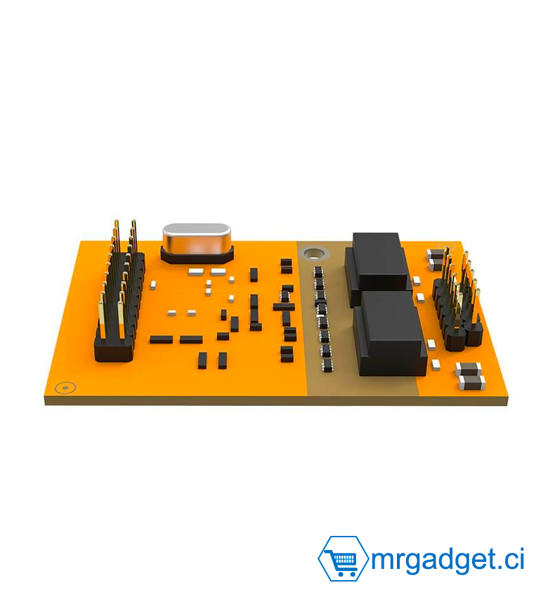 Yeastar B2 Module (2 BRI) - Module 2 ports BRI fournissant 2 lignes RNIS